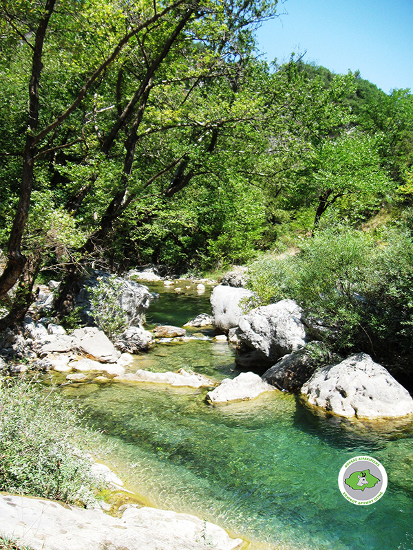 ΤΟΠΙΑ - ΦΟΡΕΑΣ ΔΙΑΧΕΡΙΣΗΣ ΕΘΝΙΚΟΥ ΔΡΥΜΟΥ ΟΙΤΗΣ, ΚΟΙΛΑΔΑΣ ΣΠΕΡΧΕΙΟΥ ΚΑΙ ...